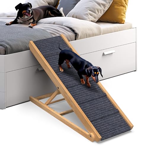 10 Best Dog Ramps For Small Dogs