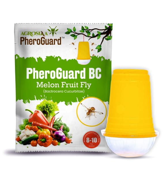 Agrosiaa Pheroguard BC Combo Pack Pheromone Lure for Bactrocera ...