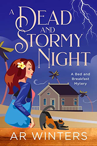 A Dead And Stormy Night: A Bed And Breakfast Cozy Mystery (Paradise Bed ...