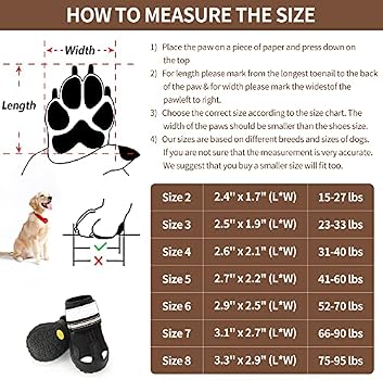 Do Puppy Paws Determine Size