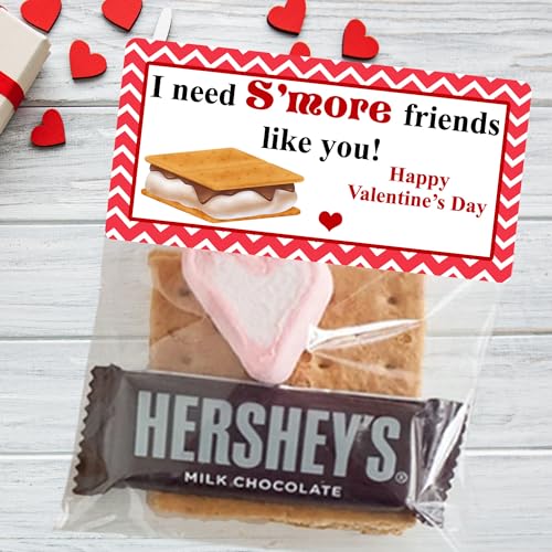 Amazon.com: Smore Friends Like You Valentine Treat Bags and Stickers ...