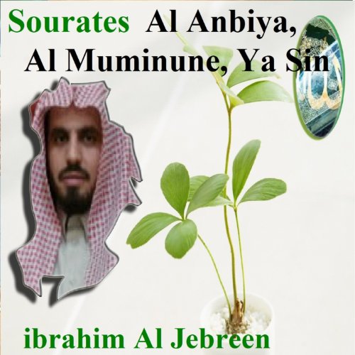 Play Sourates Al Anbiya, Al Muminune, Ya Sin (Quran - Coran - Islam) by ...