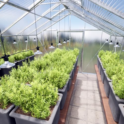 Danshinro 6-Light Outdoor LED Grow Lights – Waterproof Full Spectrum ...