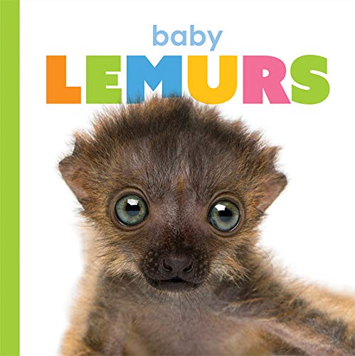 Baby Lemurs (Starting Out): Riggs, Kate: 9781628328813: Amazon.com: Books