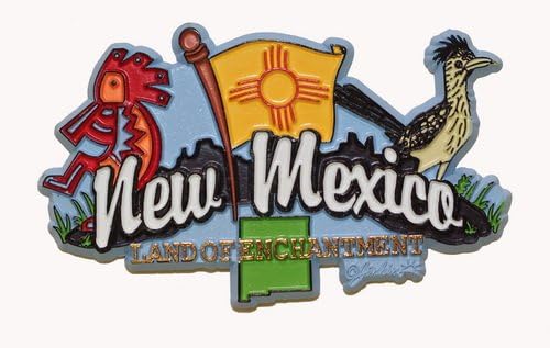 Amazon.com: New Mexico - Acrylic State Map Refrigerator Magnet : Home ...
