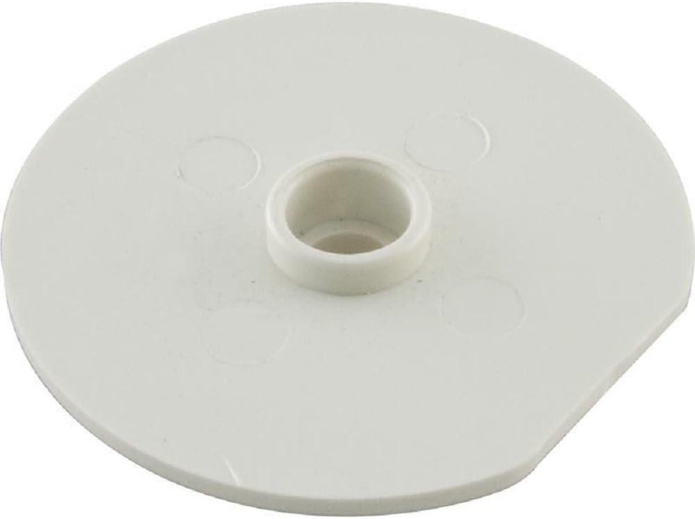 Amazon.com: Pentair Anti Vortex Plate F-Vac Mate R36023 R36023 : Patio ...