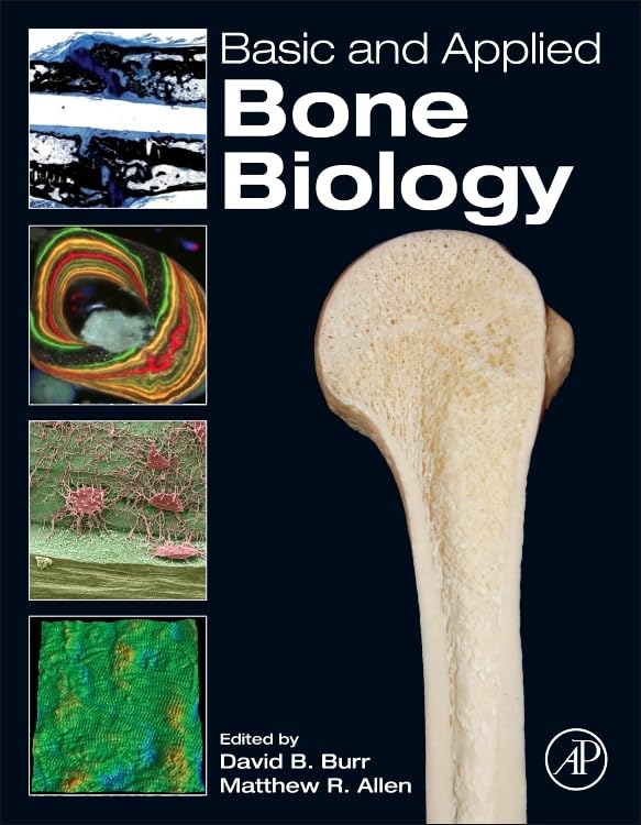 Basic and Applied Bone Biology: 9780124160156: Medicine & Health ...