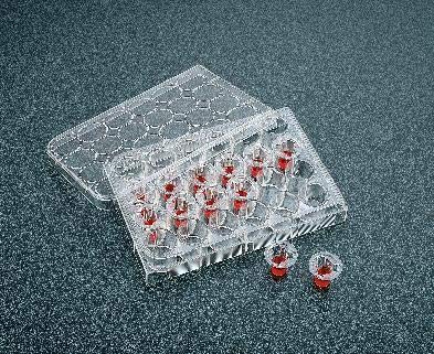 Corning 12mm Transwell with 3.0µm Pore Polyester Membrane Insert ...