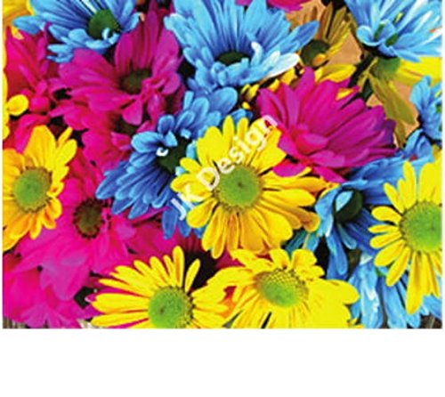 JK Talcum Plastic Composite Laminates Boards (Size- 6"X 12") : Amazon ...