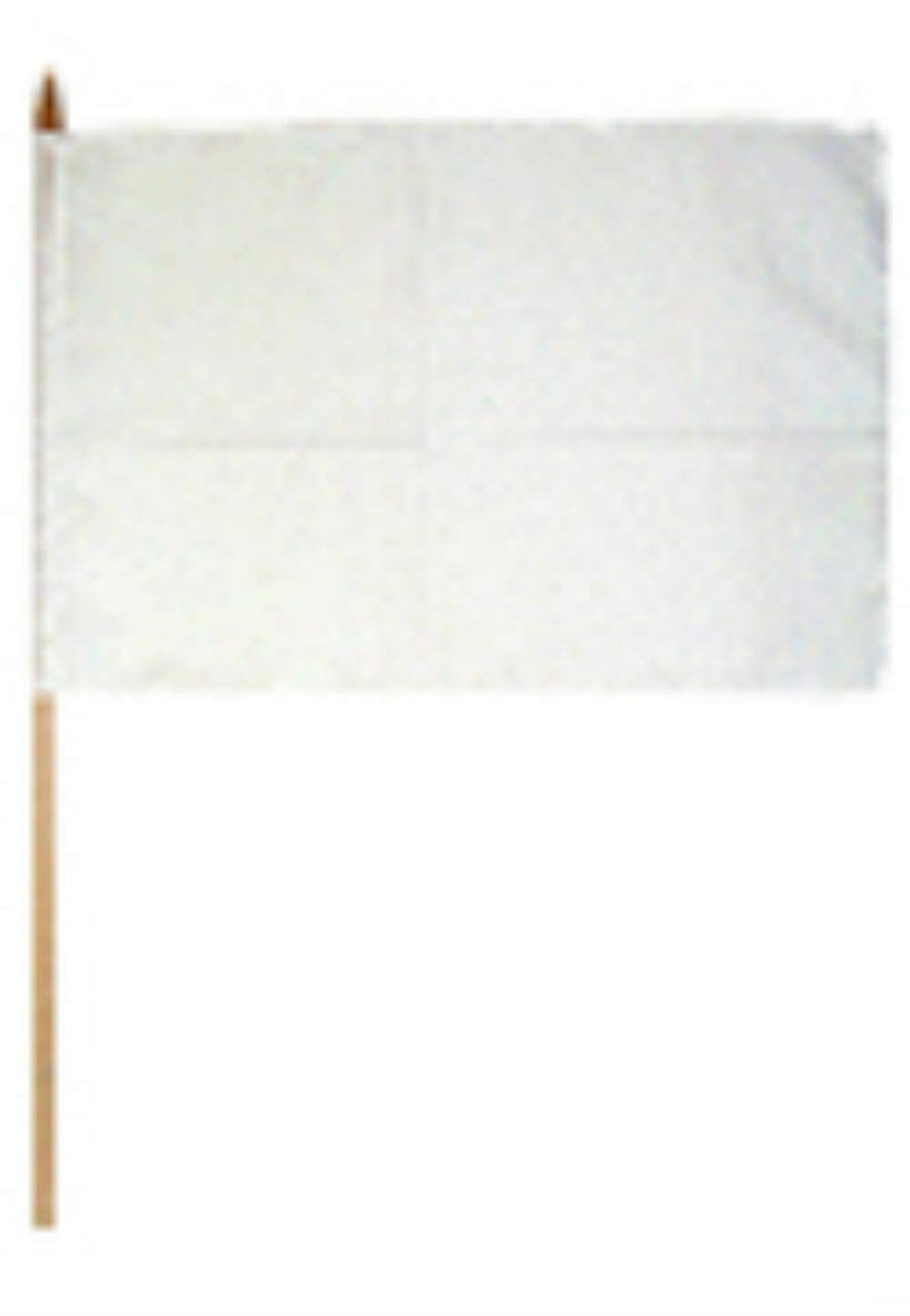 Amazon.com : Solid White (Blank) 12x18in Stick Flag : Patio, Lawn & Garden