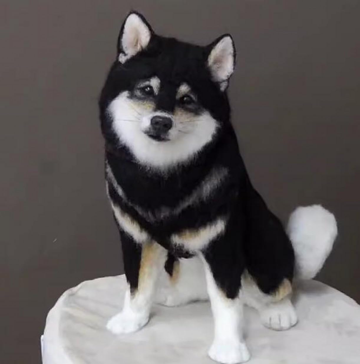 Amazon.com: WellieSTR 1pc Mini Cute Lovely Dog Needle Felting Kits ...