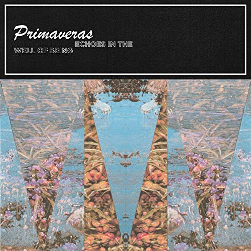 Echoes in the Well of Being by The Primaveras on Amazon Music - Amazon.com