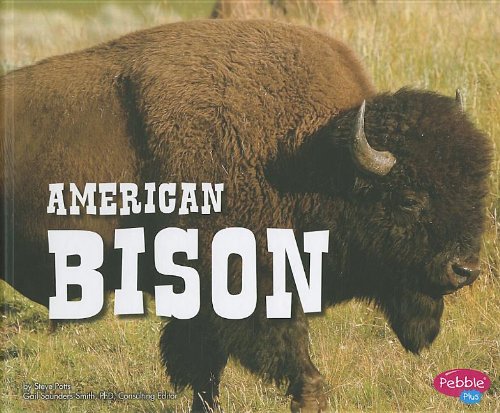 American Bison (North American Animals): Potts, Steve: 9781429677028 ...