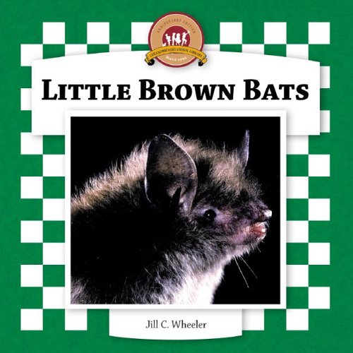 Little Brown Bats (Bats Set II): Wheeler, Jill C.: 9781596793255 ...