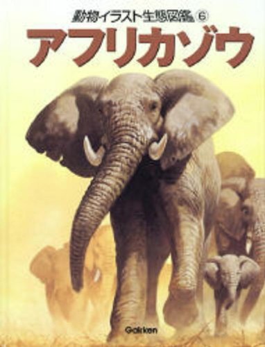 Amazon.com: Animal ecology illustration picture book six African ...