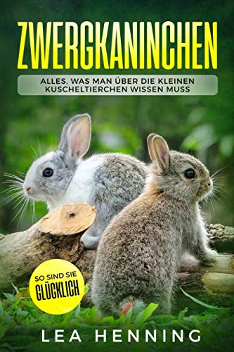 Zwergkaninchen: Alles, was man über die kleinen Kuscheltierchen wissen ...
