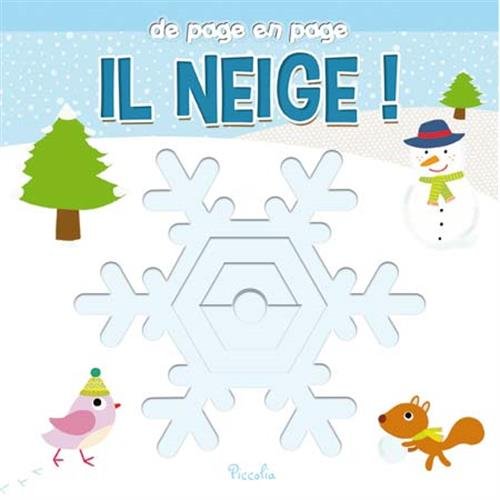 Amazon.com: Il neige !: 9782753035188: Books
