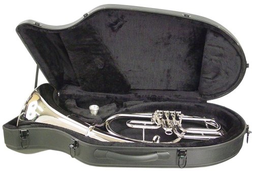 Signature Music Instruments Signature Music Silver 3 Rotary Valve ...