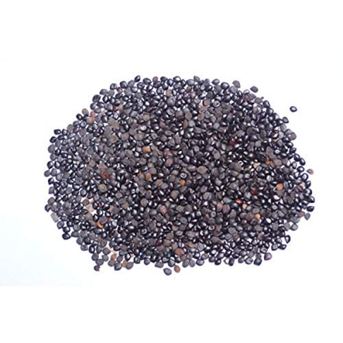 Divesh Store Babchi -Bavanchi-Psoralea Corylifolia-Lalakasturi-Sugandha ...