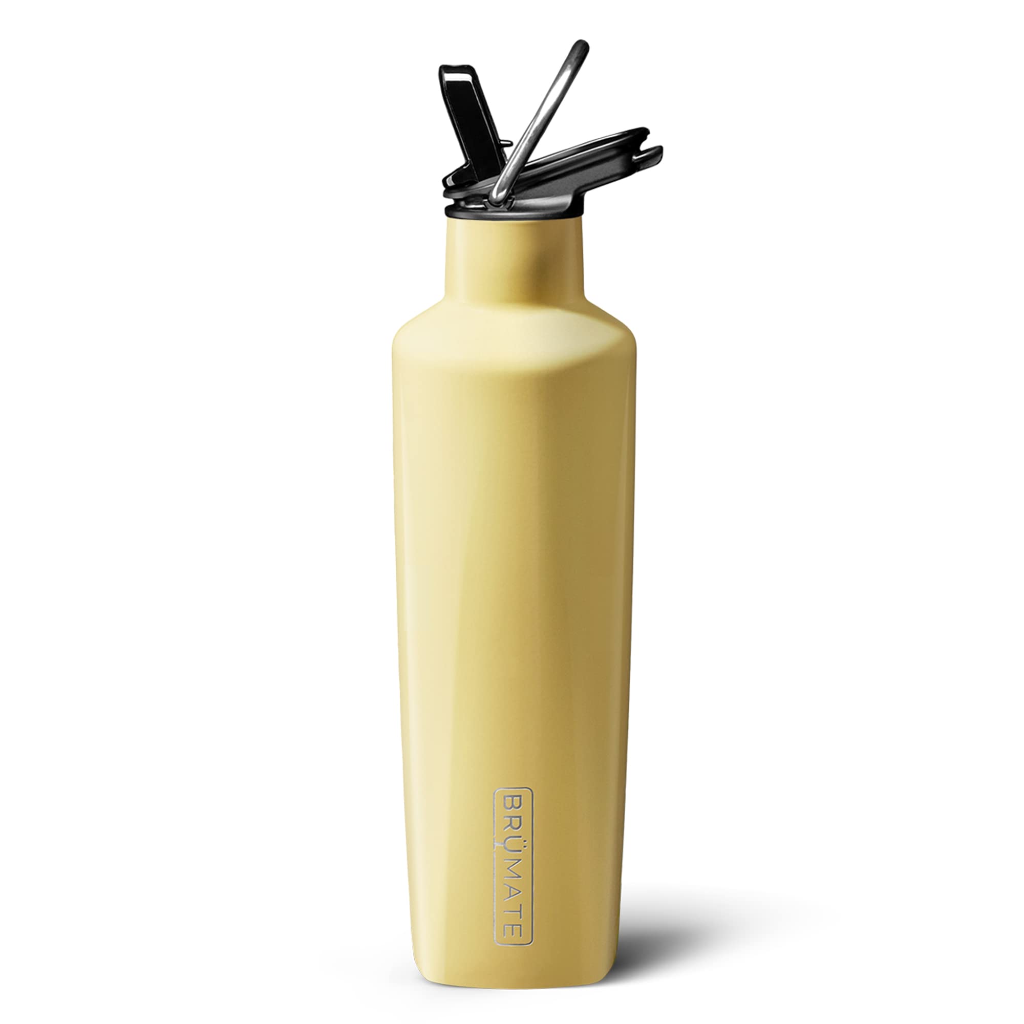 Snapklik.com : BruMate ReHydration Mini - 100% Leakproof 16oz Insulated ...