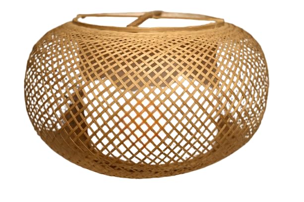 Hanging Lampshade Round Cane Ceiling Light : Amazon.in: Home & Kitchen