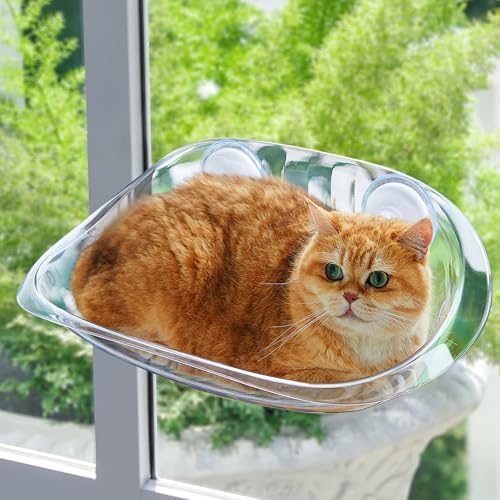 Amazon.com : Fuzzymilky Cat Perch - Clear Window Seat for Cats ...