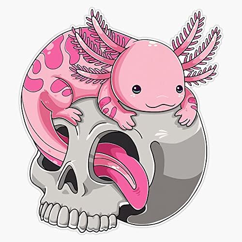 Amazon.com - Axolotl Skull Mexican Salamander Fish Kawaii Aesthetic ...