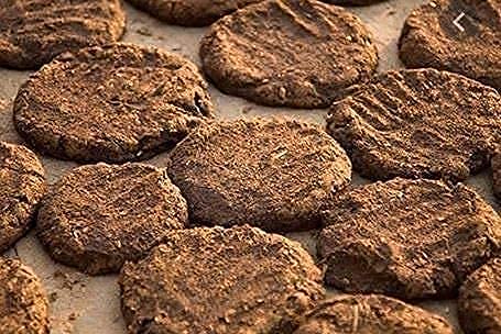 Buy L Company Organic and Pure Cow Dung Cake || Gobar ke Kande/Upla ...