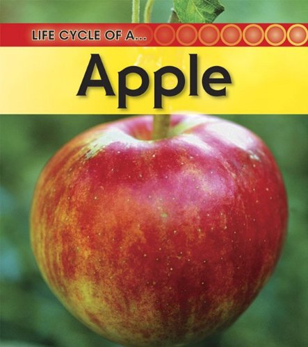 Amazon.com: Life Cycle of an... Apple: 9781432925383: Royston, Angela ...