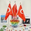 Amazon.com : QQSD Turkey Small Flag Turkish Stick Mini Hand Held Flags ...