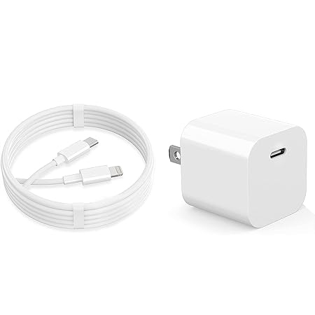 Amazon.com: Mini 20W USB-C Fast Charger for iPad 9th 8th Generation ...