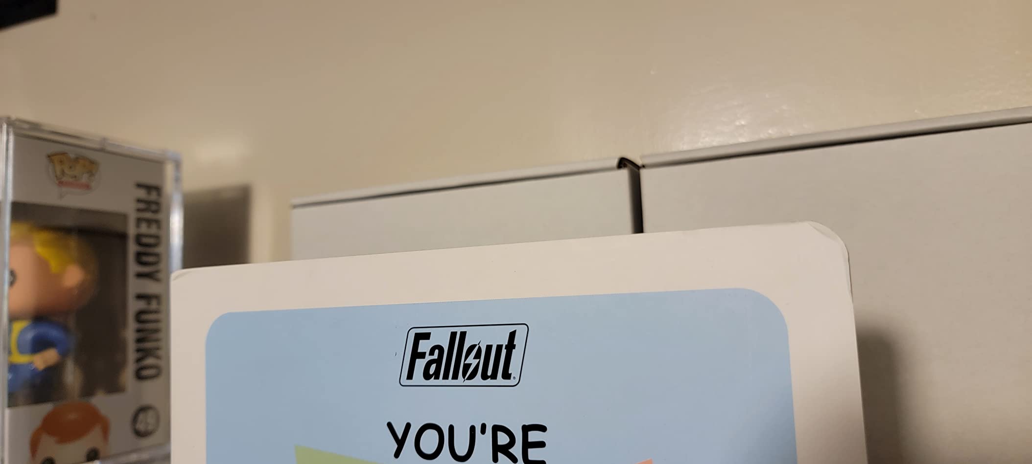 Fallout: You're S.P.E.C.I.A.L.: Insight Editions: 9781683839965: Amazon ...