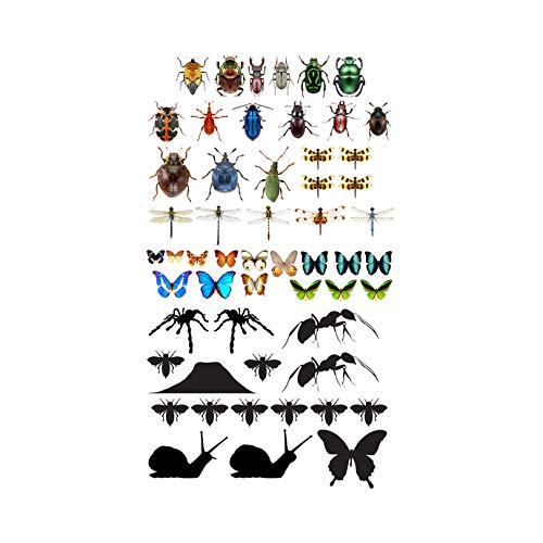 Amazon.com: The 55 Piece Mega Bug Collection Decal Set : Tools & Home ...