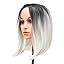 Amazon.com : SWACC Ombre Colors Straight Short Hair Bob Wig Synthetic ...