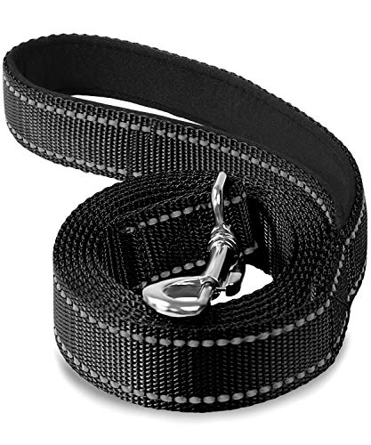 Top 10 Best Leash For Strong Dogs : Reviews & Buying Guide - Katynel