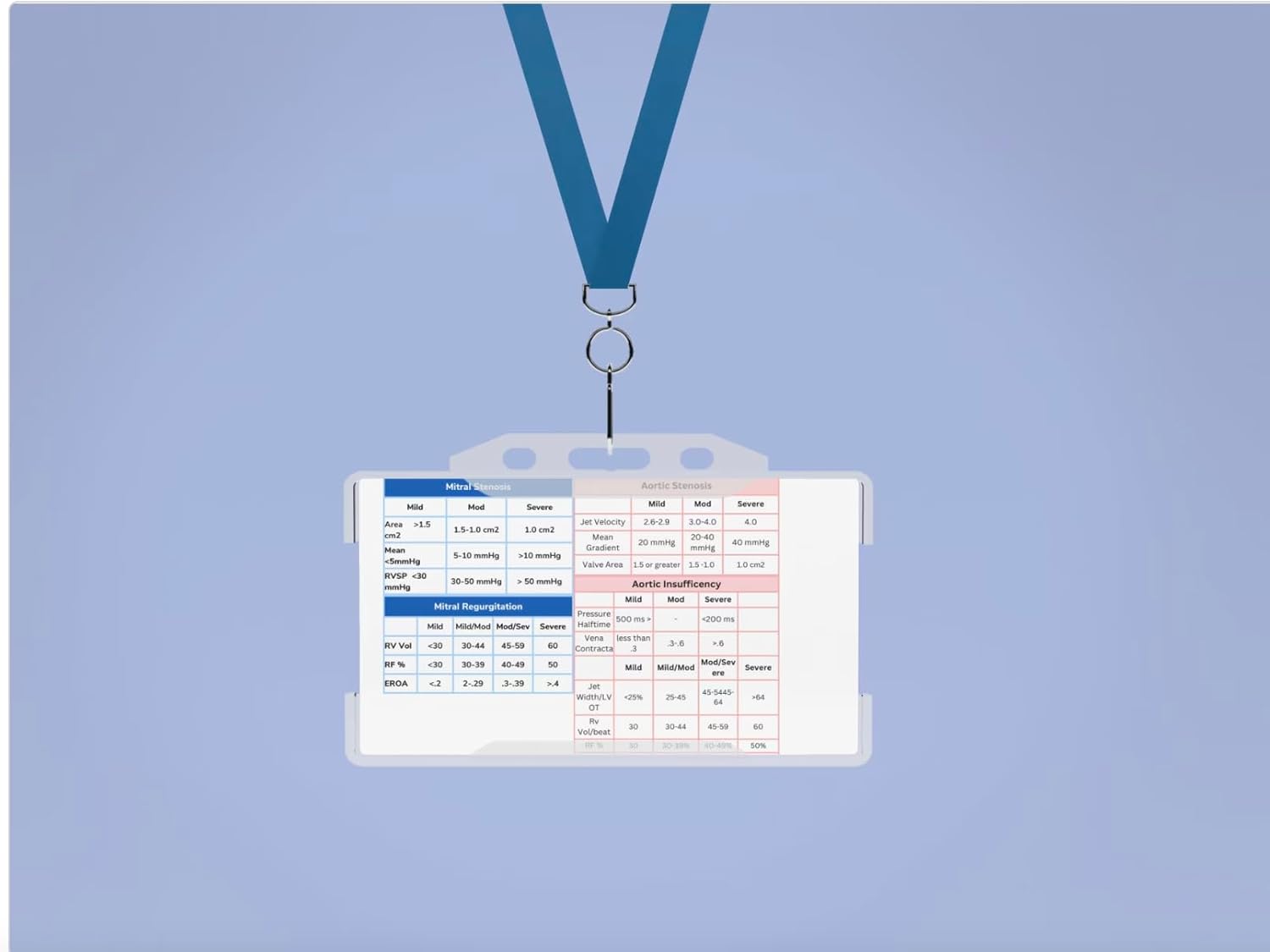 Echo Badge Guide - Quick Reference & Cheat Sheet - Nepal | Ubuy