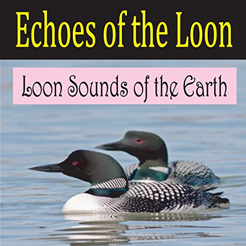 Amazon.com: Echoes of the Loon (Loon Sounds of the Earth) : Pure ...