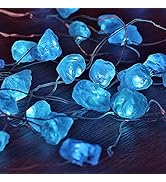 Amazon.com: MIYA LIFE Natural Fluorite Crystal String Lights USB ...