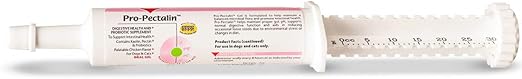 Amazon.com : Vetoquinol Pro-Pectalin Oral Paste for Dogs & Cats – 30cc ...