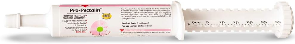 Amazon.com : Vetoquinol Pro-Pectalin Oral Paste for Dogs & Cats ...