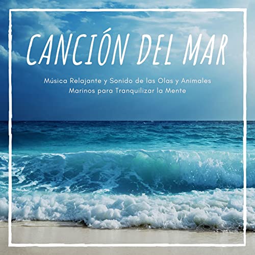 Canción del Mar: Música Relajante y Sonido de las Olas y Animales ...