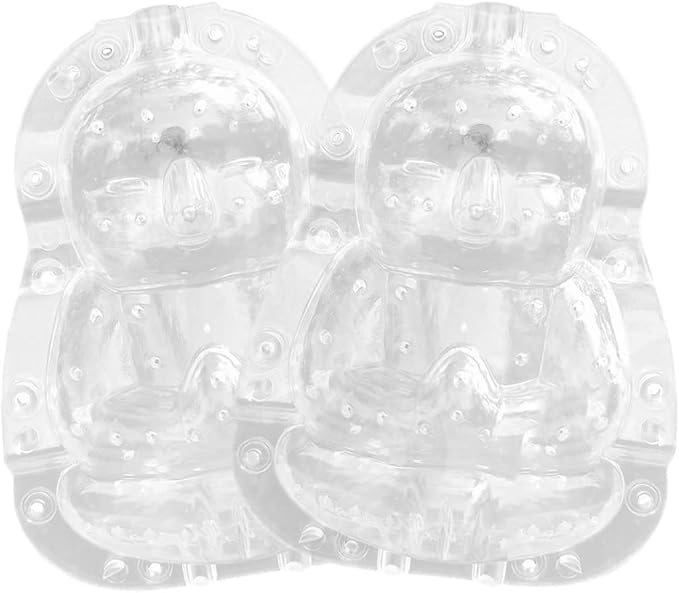 Amazon.com : Yardwe 2pcs Transparent Fruit Molds Fruit Shaping Mould ...