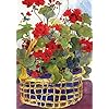 Amazon.com : Toland Home Garden 109136 Geranium Basket Spring Flag ...