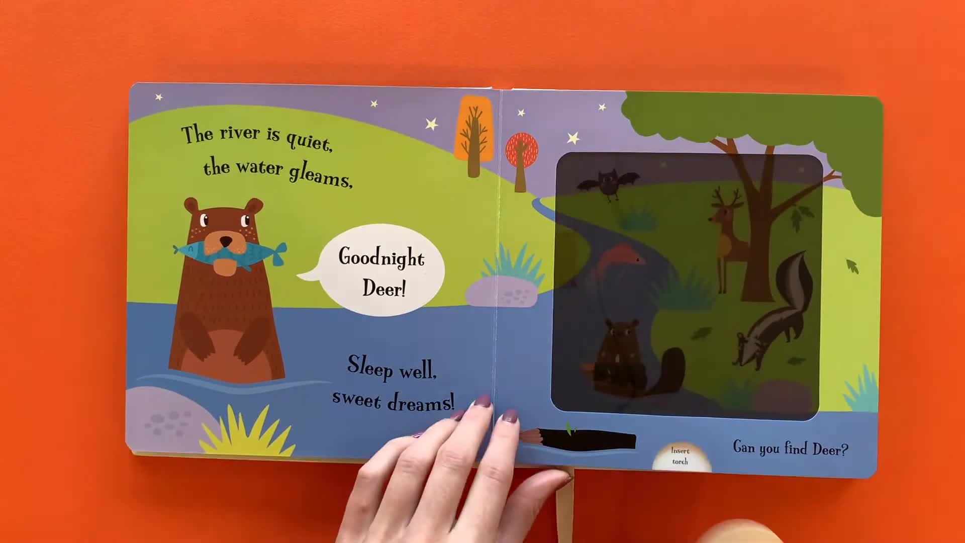 Watch Magic Flashlight Books on Amazon Live