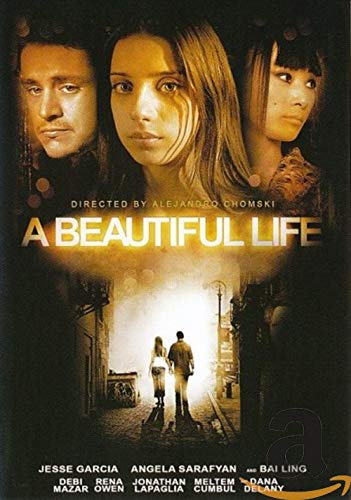 Amazon.com: A Beautiful Life [ 2008 ] : Movies & TV