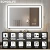 Amazon.com: EchosLife 44x30 Bathroom Light up Mirror, Black Double ...