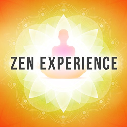 Amazon.com: Zen Experience : Zen Meditate: Everything Else