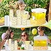 Amazon.com | 151 Pcs Lemonade Stand Supplies Lemonade Stand Kit Plastic ...