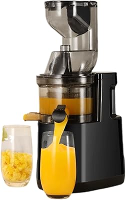Amazon.com: Cold Press Juicer Machines, 300W Slow Masticating Juicer ...