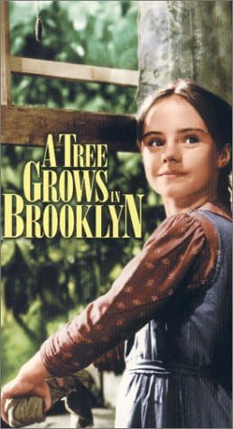 Amazon.com: A Tree Grows in Brooklyn : Dorothy McGuire, Joan Blondell ...